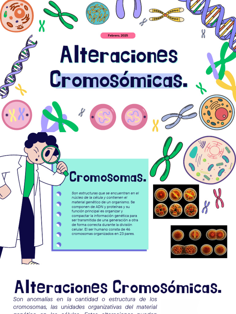 Alteraciones Cromosómicas. - 20250216 - 130930 - 0000 | PDF | Cromosoma | Genética