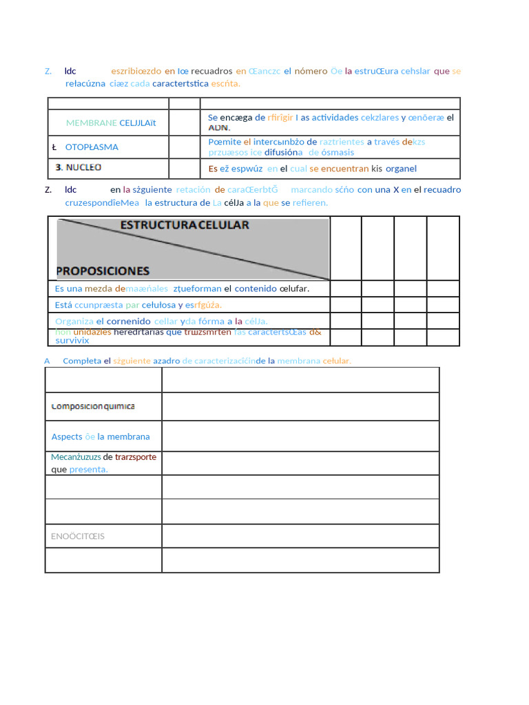 Actividades Sobre Estructura y Funcionamiento Celular 4to | PDF ...