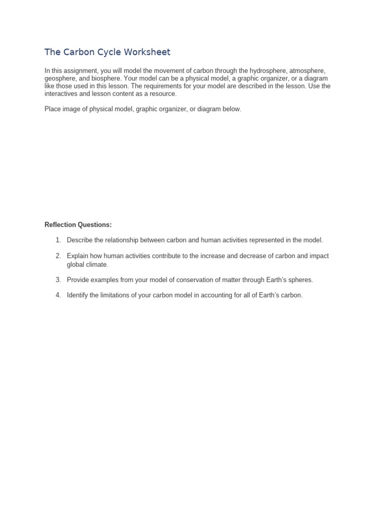 Carbon Cycle Worksheet | PDF