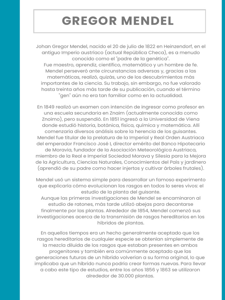 Documento A4 Informe de Proyecto Resumen Sencillo Simple Blanco y Rosa ...