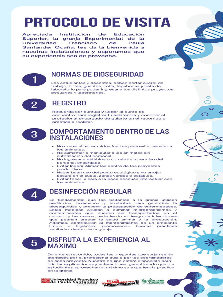 Protocolo de Visita 3 | PDF