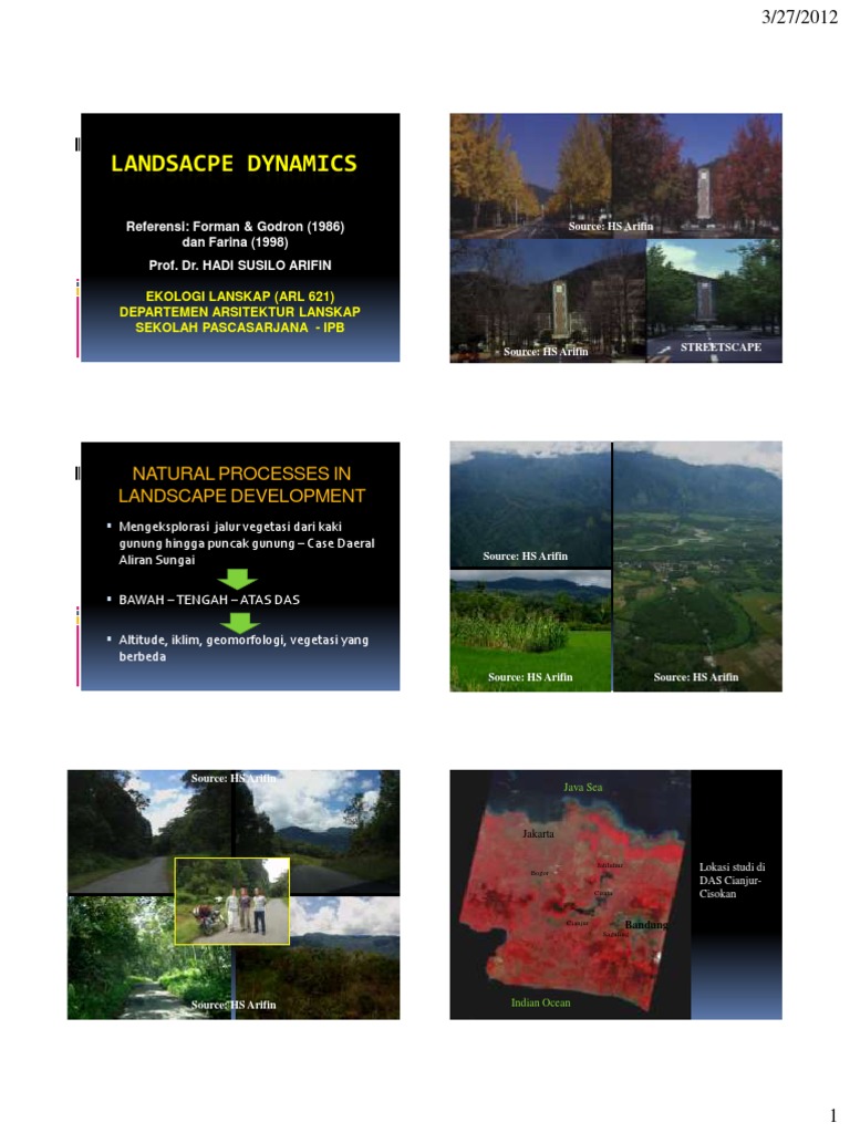 Landsacpe Dynamics: Natural Processes in Landscape Development | PDF