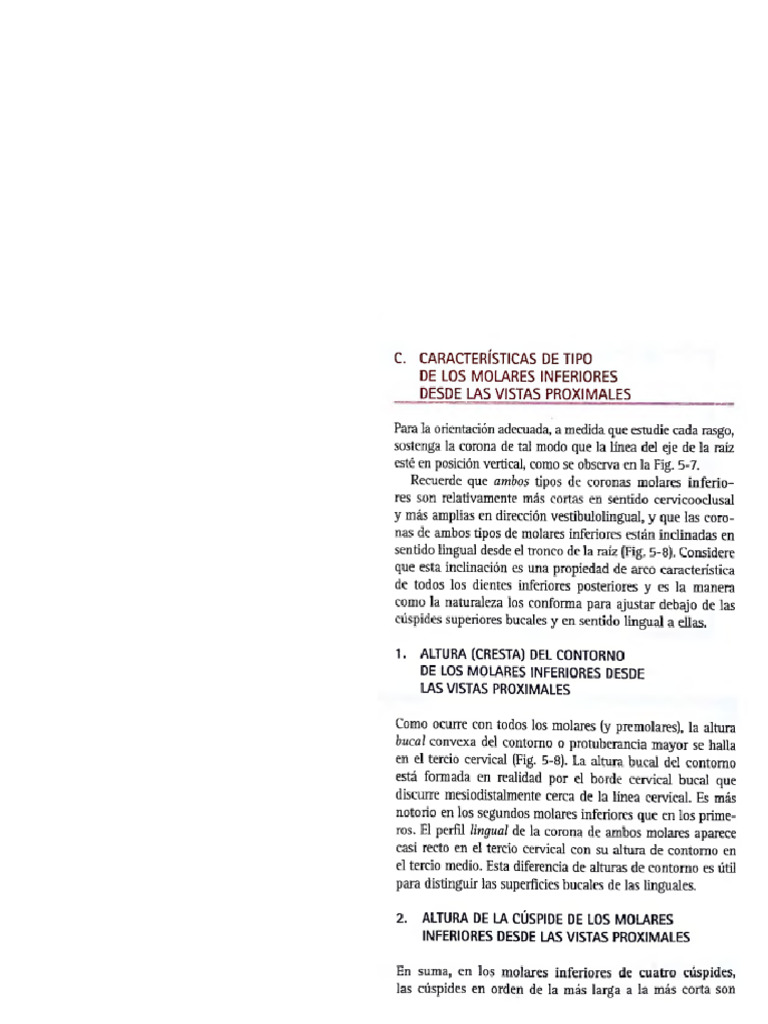 Anaromia Dental Diferencias | PDF