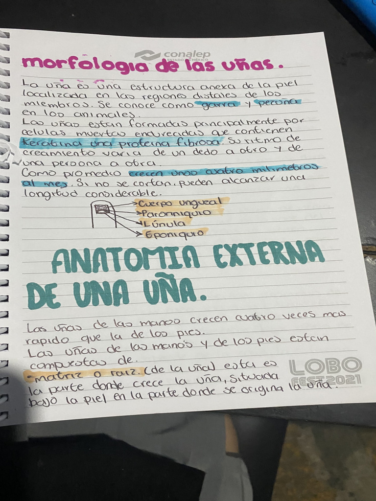 Img 7656 | PDF