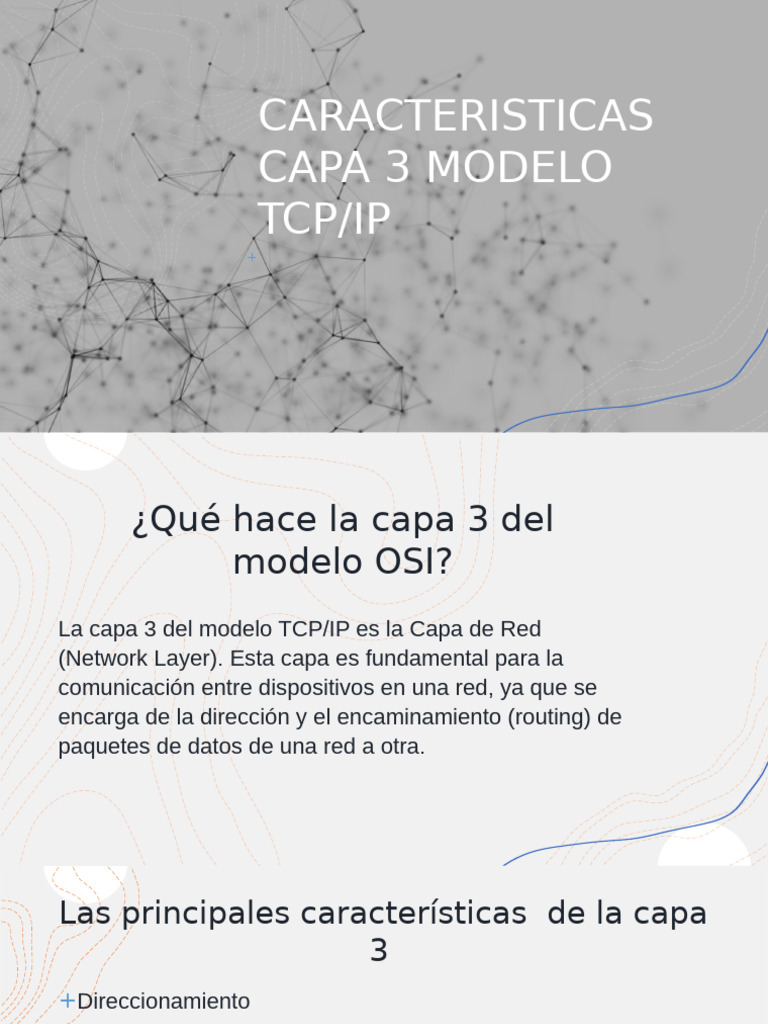 Características de la Capa 3 TCP/IP | PDF | Protocolos de internet ...