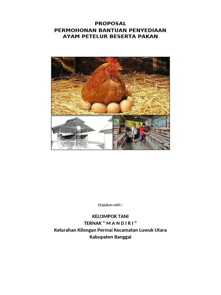 Proposal Pullet Dan Pakan (Awal) | PDF
