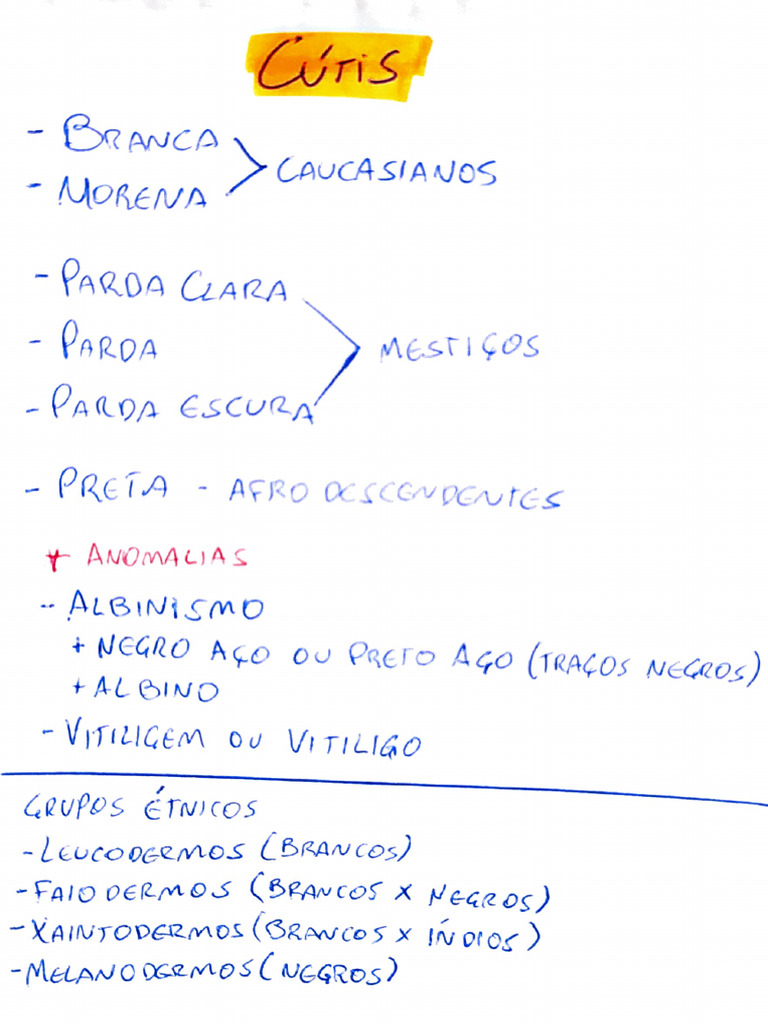 Mapa Mental CFI | PDF