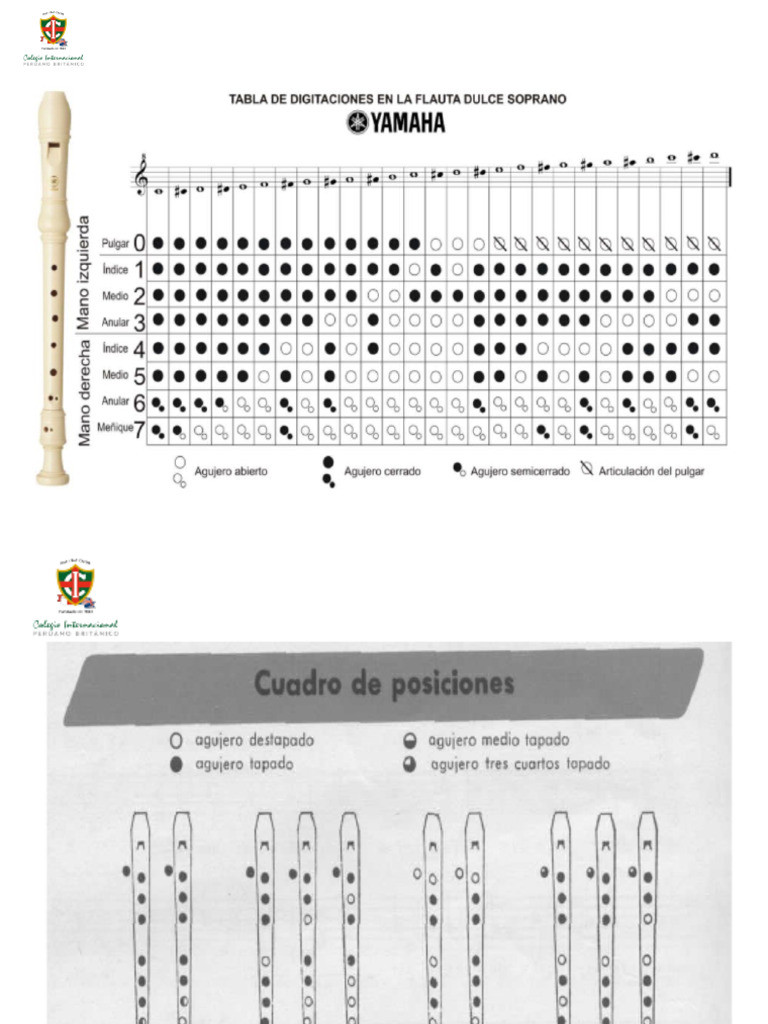 Tabla de Digitacion de Flauta | PDF