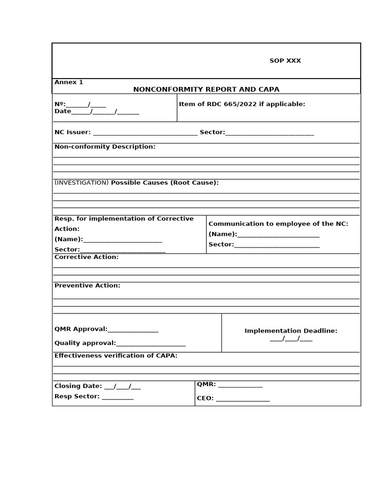 RNC and CAPA Report Model | PDF