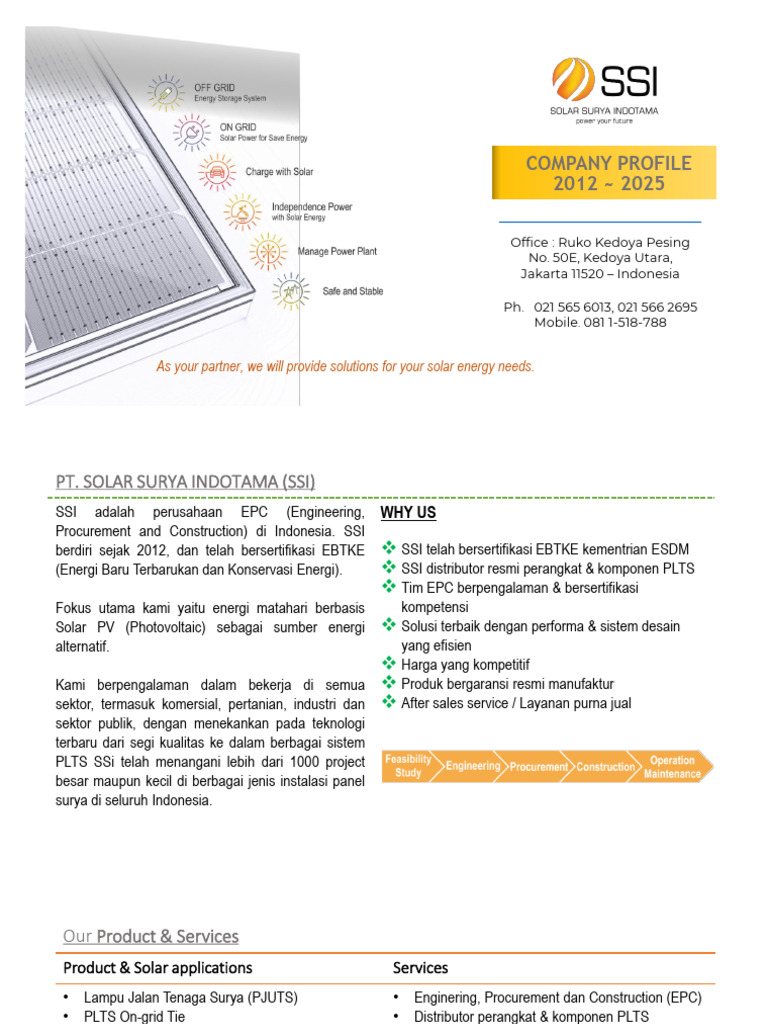 SSI Profile 2025-p | PDF
