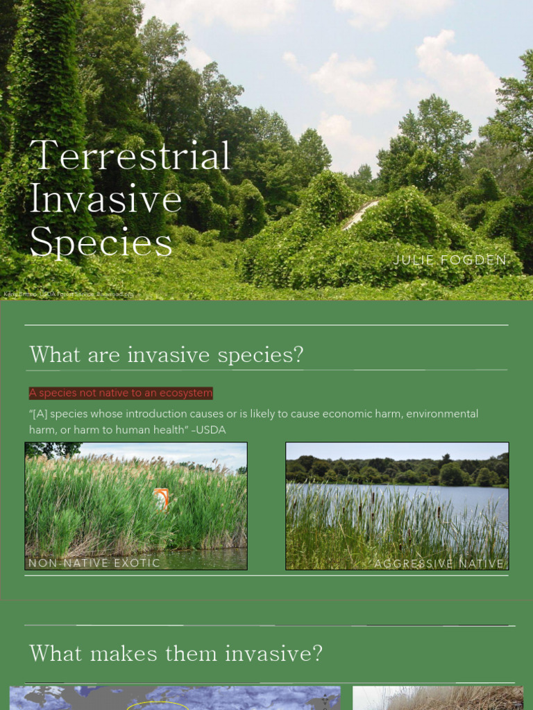 10 Invasive Species Lecture | PDF | Invasive Species | Ecosystem