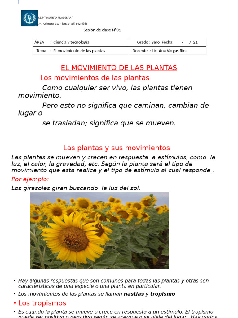 !era .Sesion de Clase de Ciencia Y T. 3er Grado | PDF | Botánica | Plantas