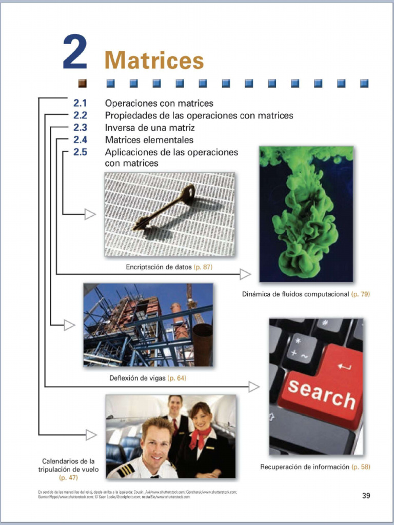 002 - Fundamentos de Álgebra Lineal - Larson, R., Falvo, D (Matrices) | PDF