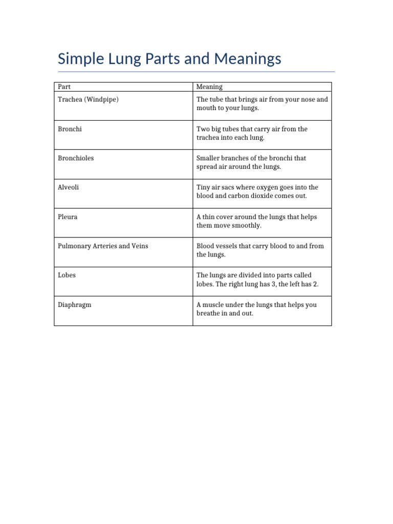 Simple Lung Parts Spaced | PDF