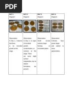 Bacteria Testing Science Fair Ideas | PDF | Experiment | Hypothesis
