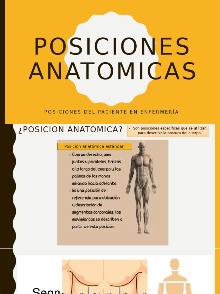 Clase n2. Posiciones Anatomicas | PDF | Reanimación cardiopulmonar | Especialidades Medicas