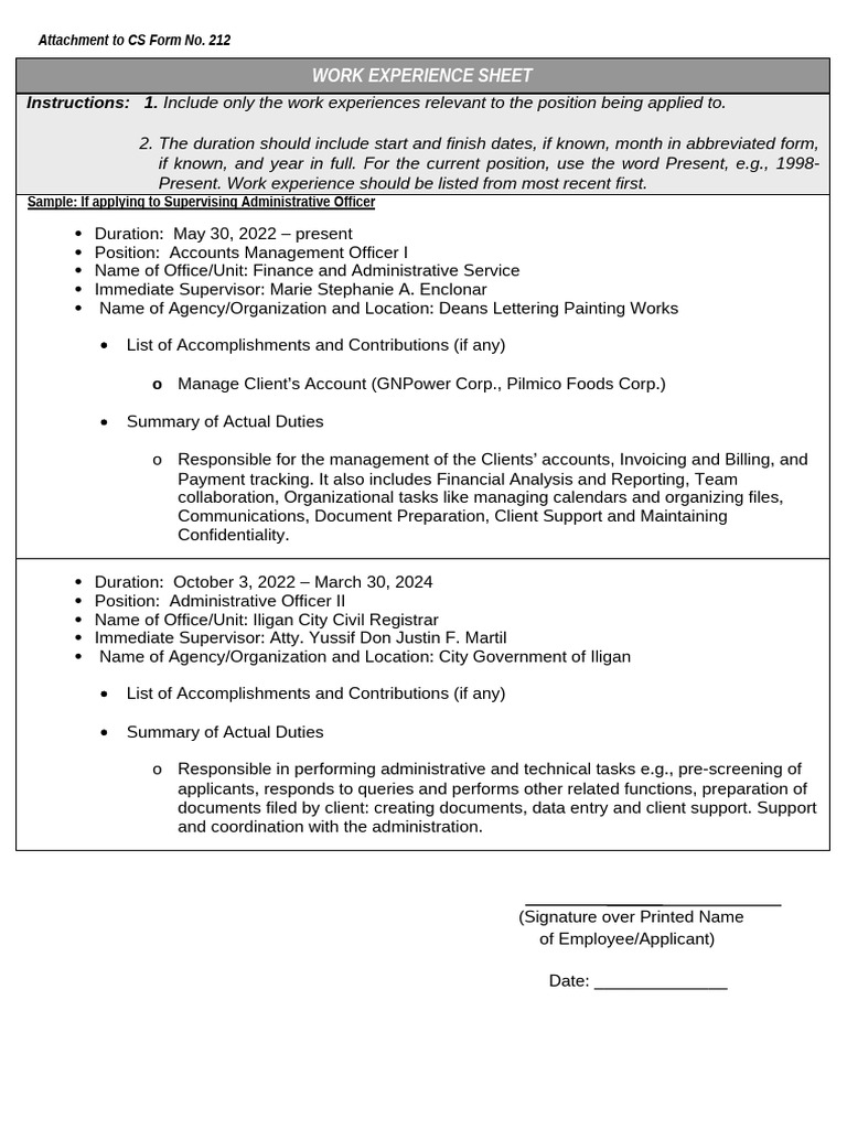 Work Experience Sheet Template | PDF | Invoice | Business