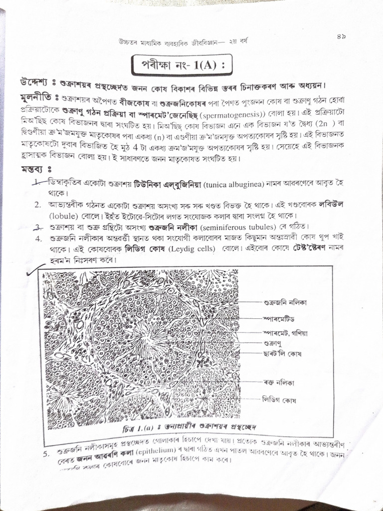 Scanned 20250510-1534 | PDF