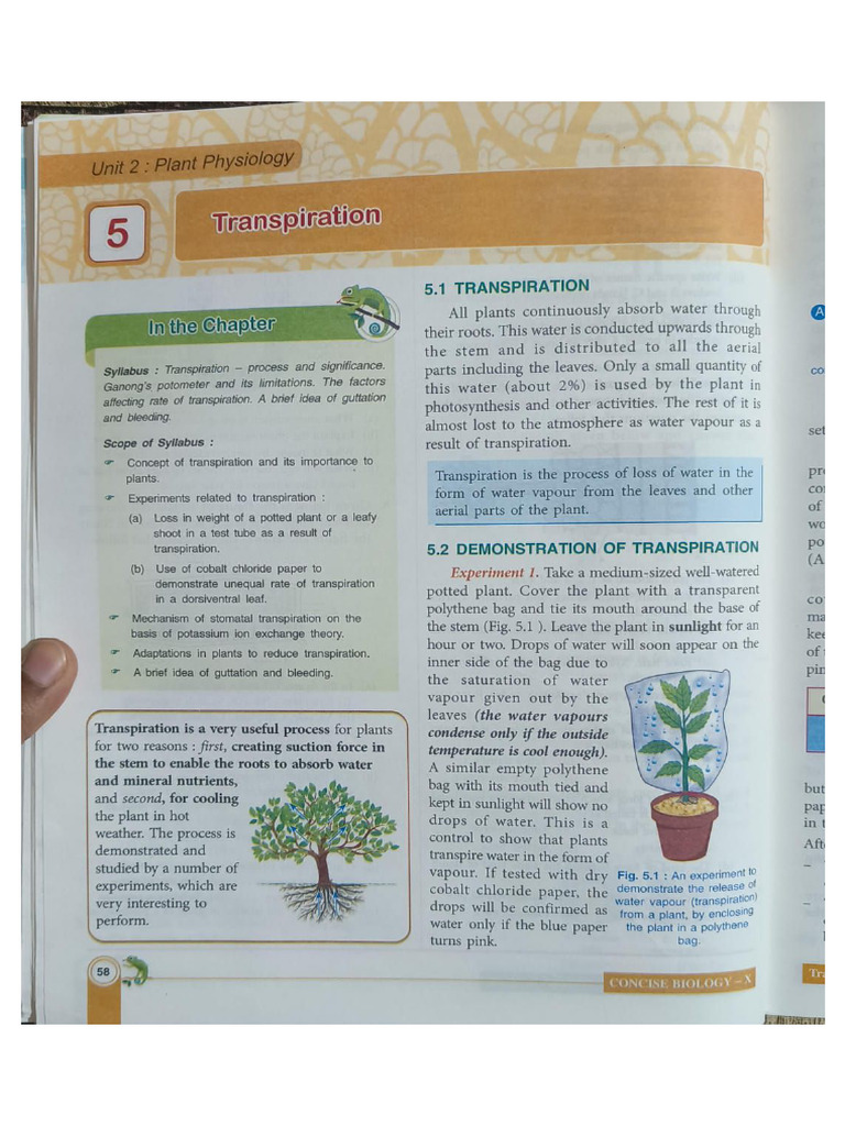 Class 10 Chapter 5 - ICSE Biology Selena | PDF