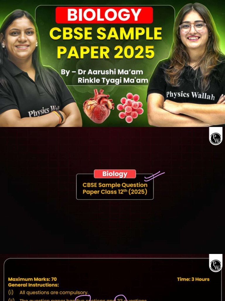 Sample Paper | PDF