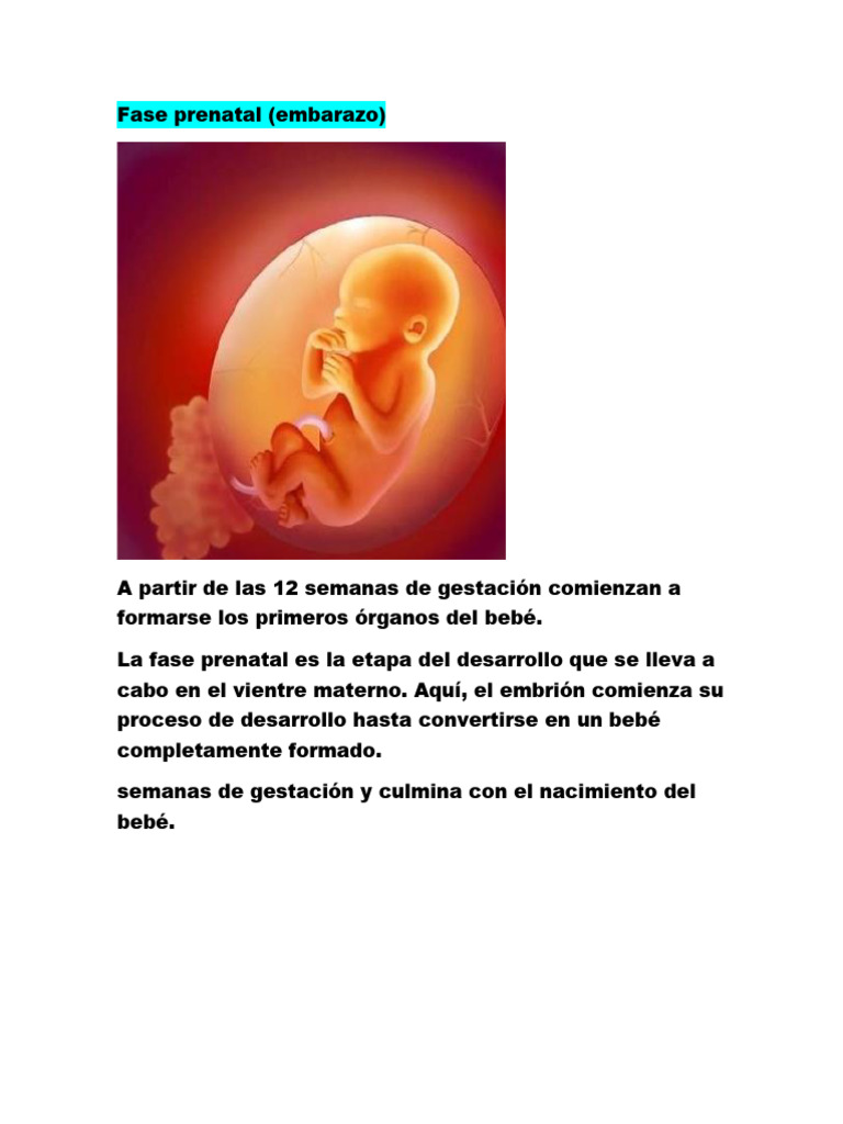 Fase Prenatal | PDF | Adultos | Vejez