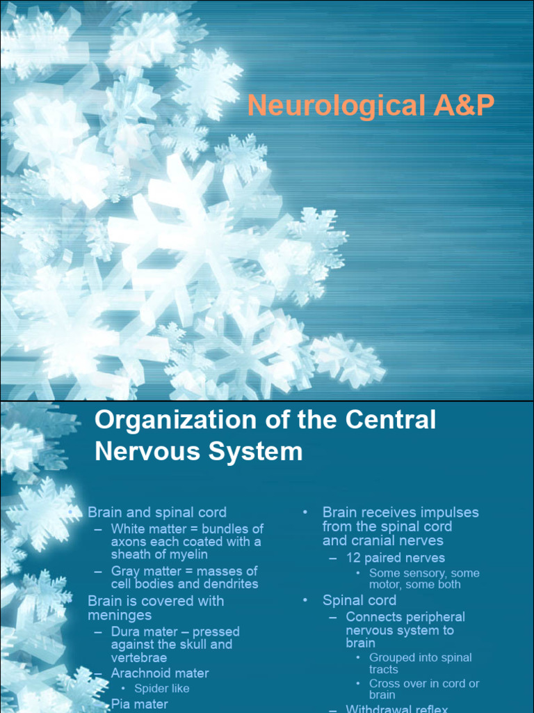 1. Anatomy & Physiology Neurologic review | PDF | Cerebrospinal Fluid ...