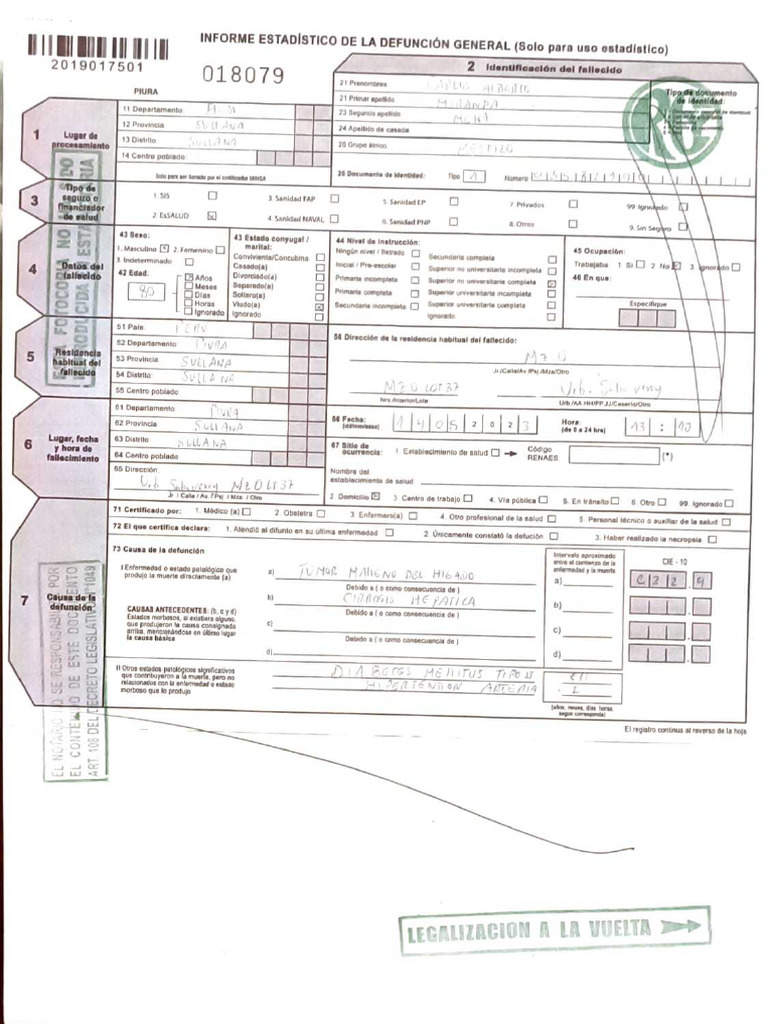 Informe Estadistico de La Defuncion General | PDF