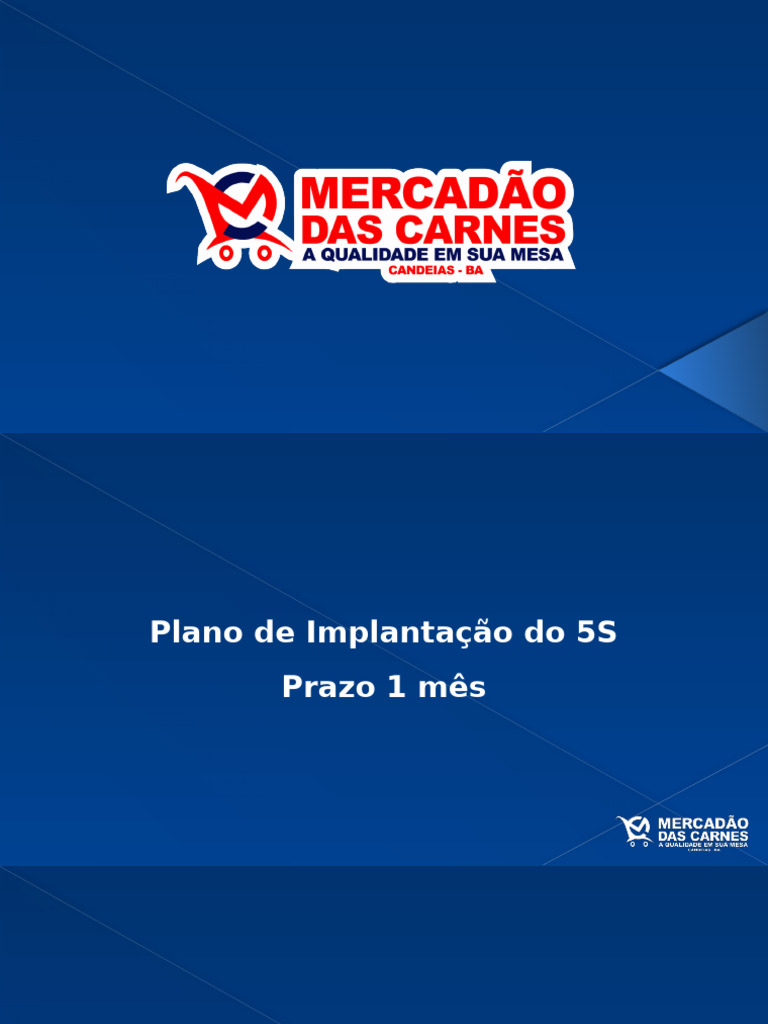 Plano de Implantação do 5S em 1 Mês - semana 1 | PDF