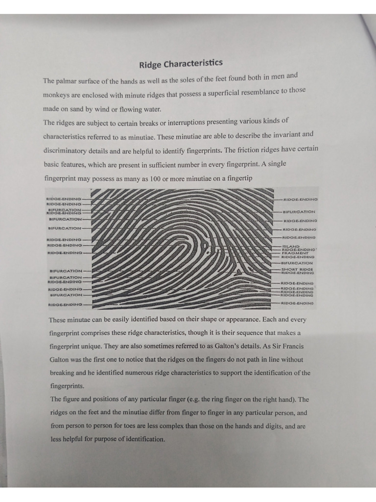Ridge Characteristics | PDF