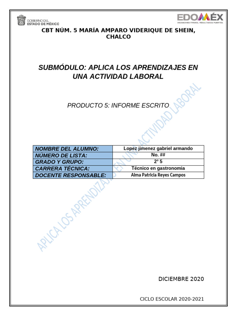 5.-Reporte Escrito | PDF