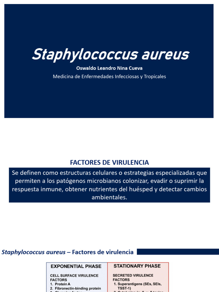 Staphylococcus Aureus | PDF | Staphylococcus Aureus | Estafilococo