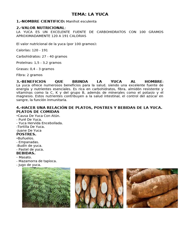 La Yuca | PDF