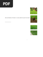 Major Kharif and Rabi Crops List | PDF | Pea | Bean