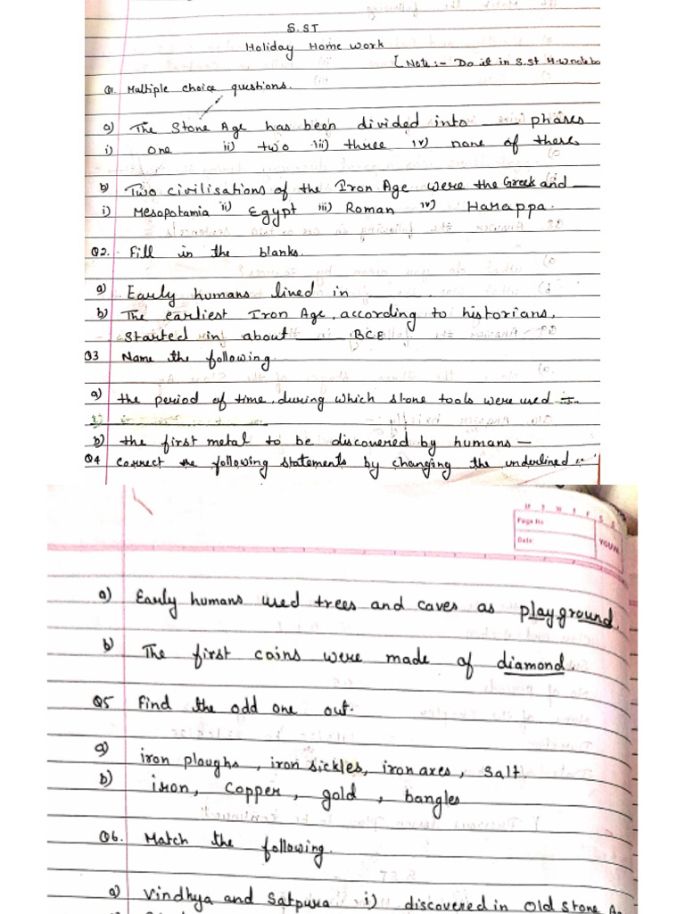 sst & m.sc holiday homework | PDF