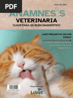 Cistocentesis | PDF | Vejiga urinaria | Ciencias de la Salud