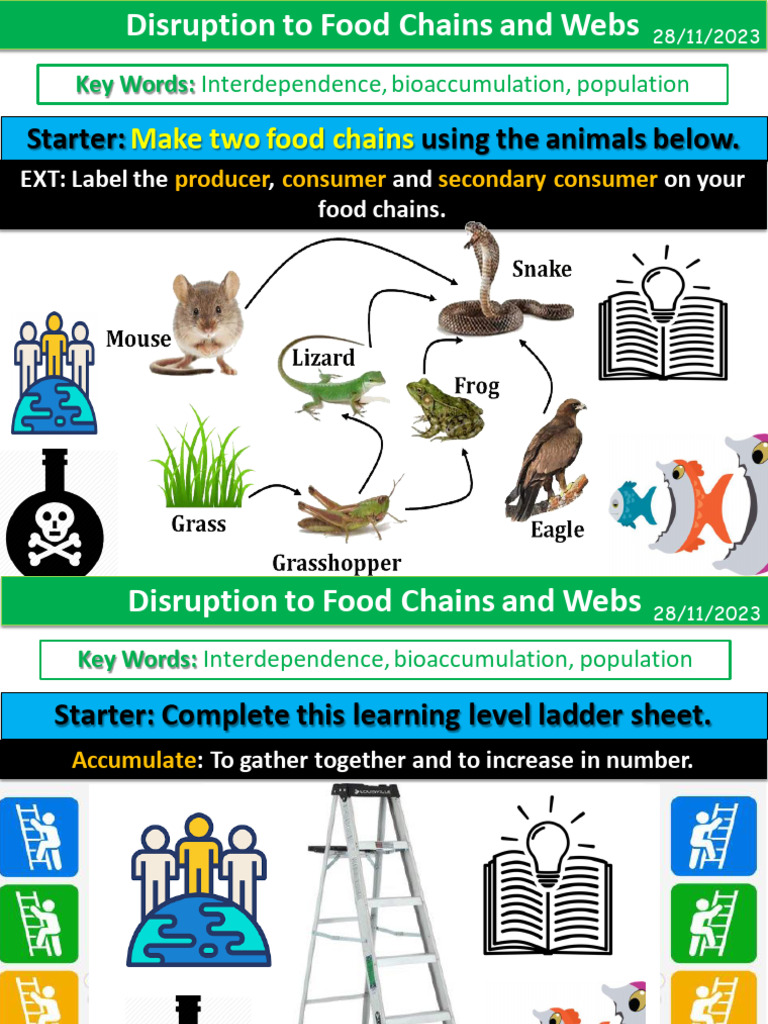 BWA L7 Disruption To Food Chains and Webs 2 | PDF | Cellular ...