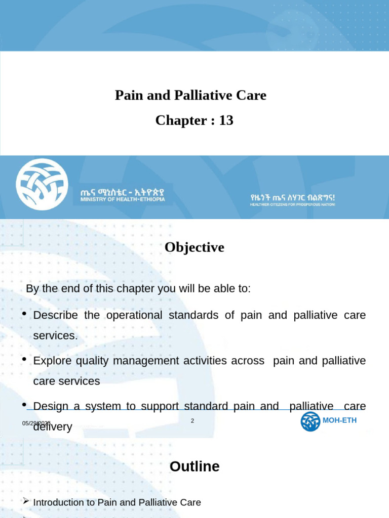 Chapter 13 Pain and Palliative | PDF | Palliative Care | Pain