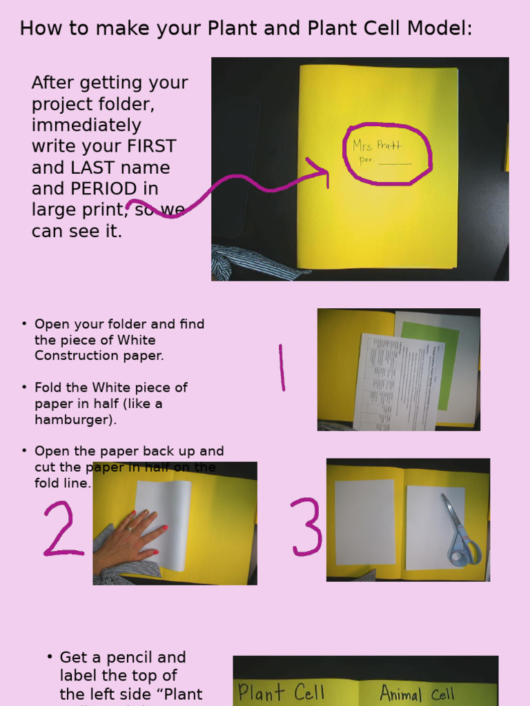 Cell Model Directions | PDF
