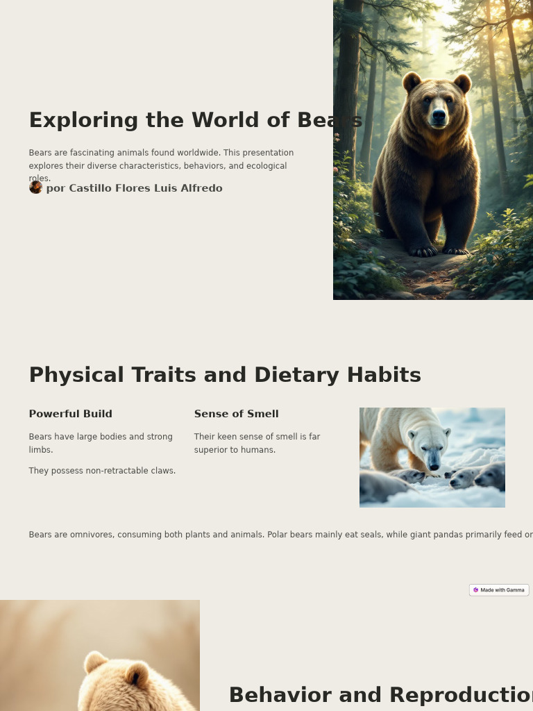 Exploring The World of Bears | PDF