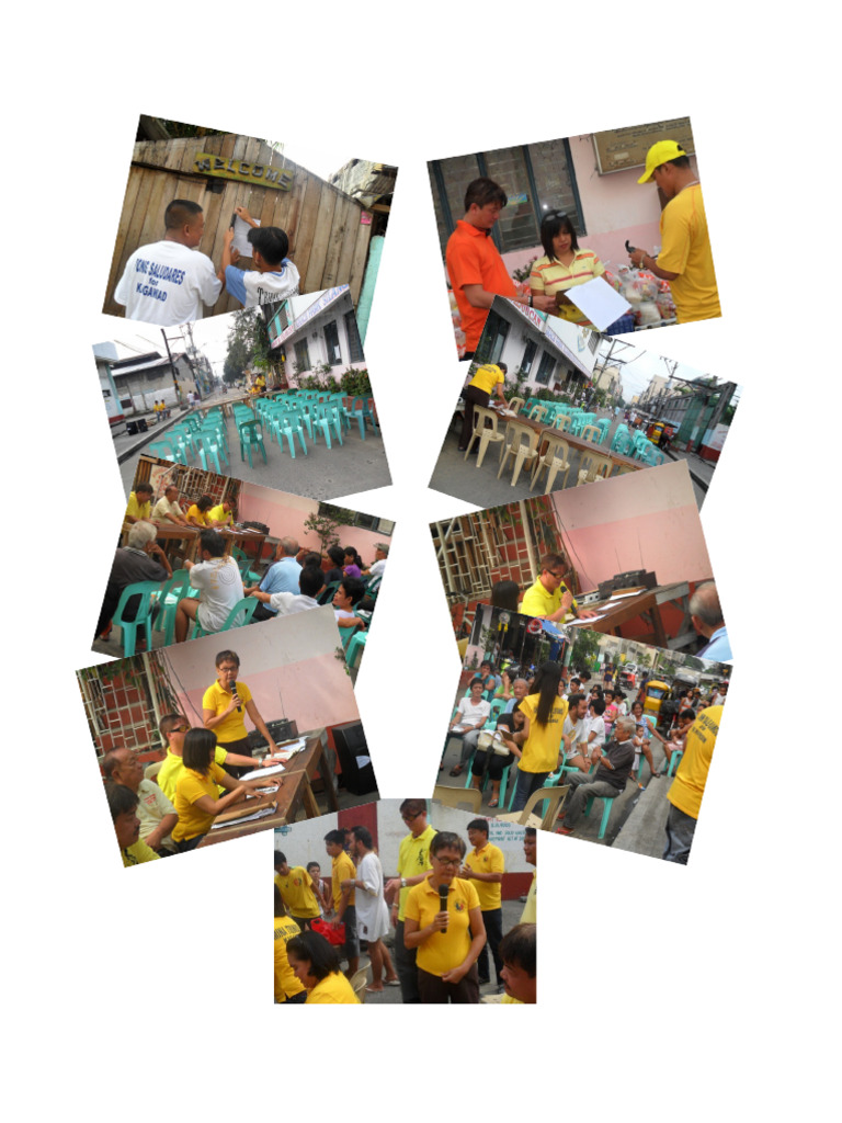 BCPC Picture 2011 | PDF
