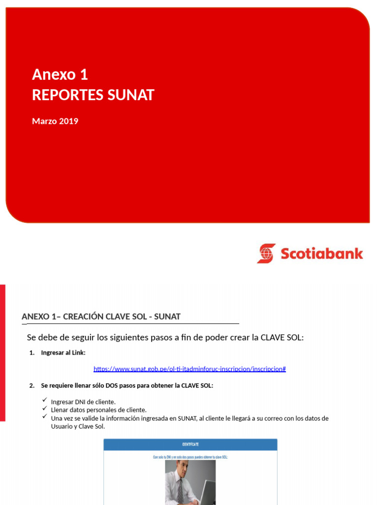 Reporte Sunat para Cliente | PDF
