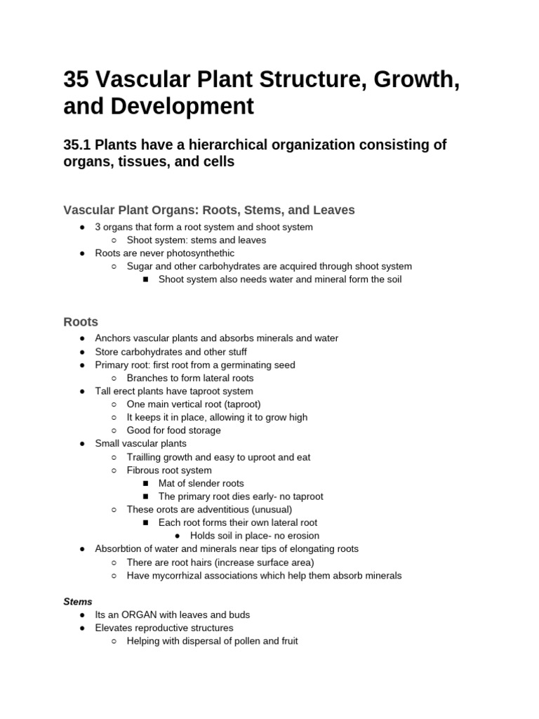 CH 35 Vascular Plant Structure, Growth, and Development | PDF | Plant ...