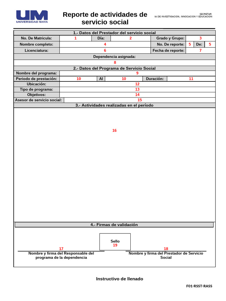 Formato de Reporte SS Instructivo para alumnos (1) | PDF