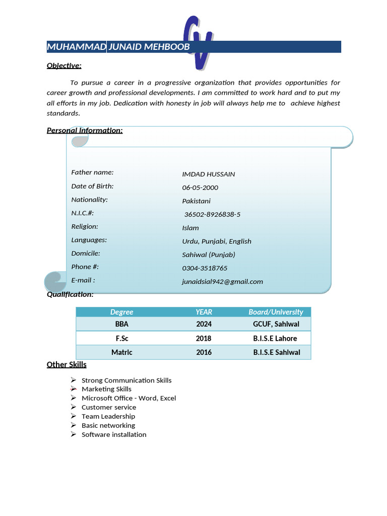 Muhammad Junaid CV | PDF