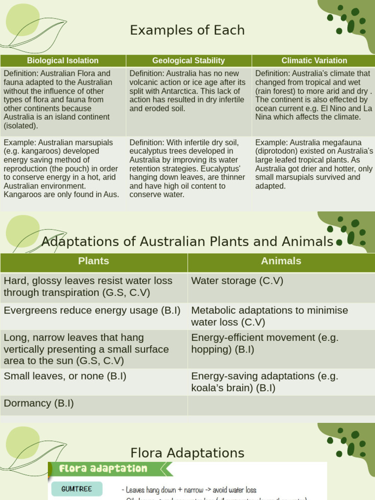 3) OES - Unit 3, AoS1 Summary PPT 2025 | PDF | Natural Environment
