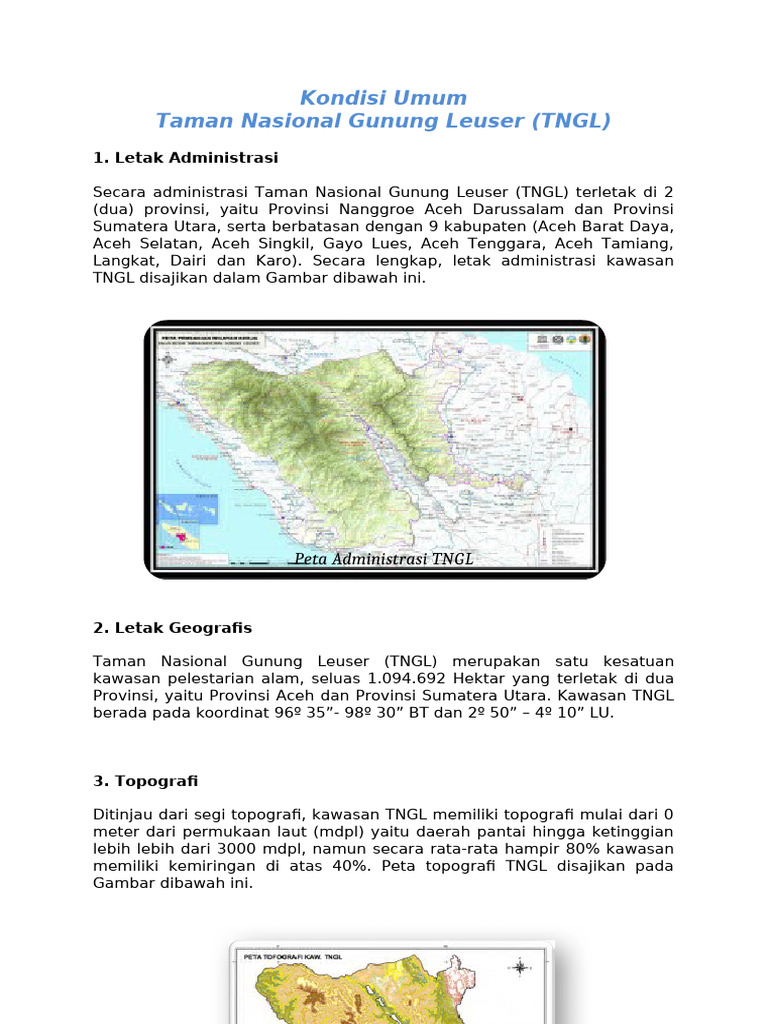 Kondisi Umum TNGL (Gayo) | PDF