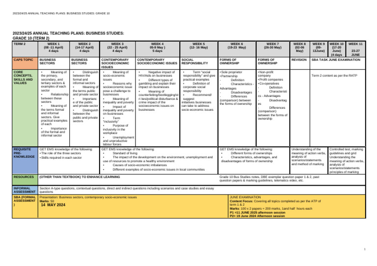 Grade 10 Business Studies Annual Plan | PDF | Economics | Economies