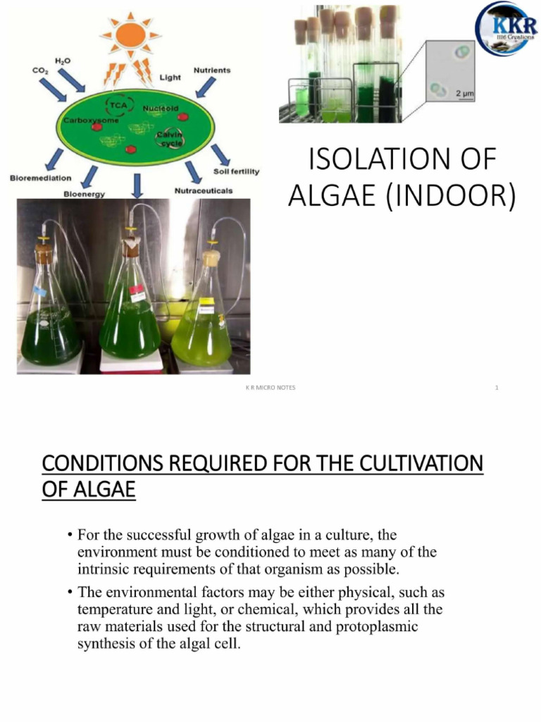 Indoor Algal Cultivation | PDF | Chemistry | Physical Sciences