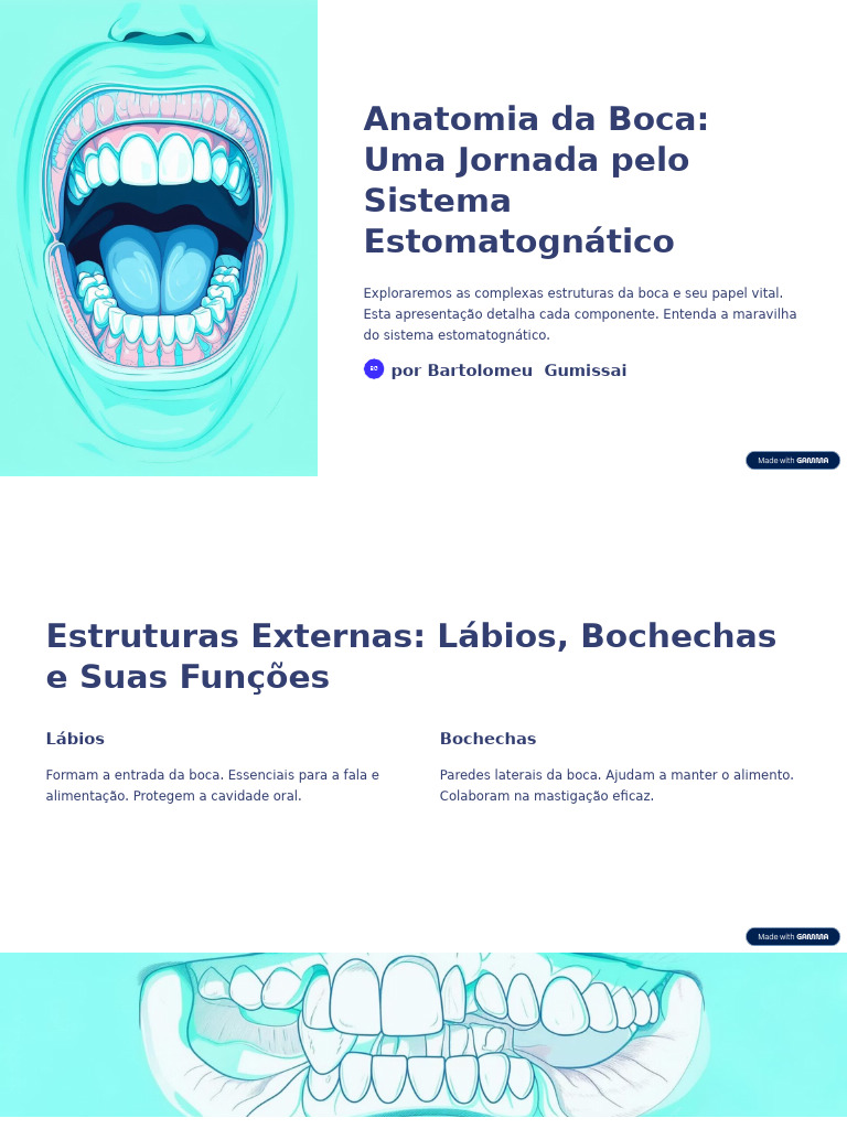 Anatomia Da Boca Uma Jornada Pelo Sistema Estomatognatico | PDF | Boca ...