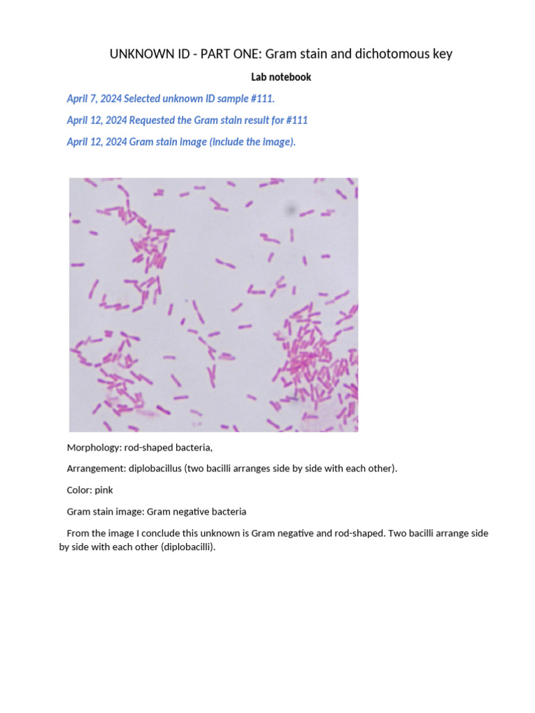 Gram Stain Analysis of Yersinia ruckeri | PDF